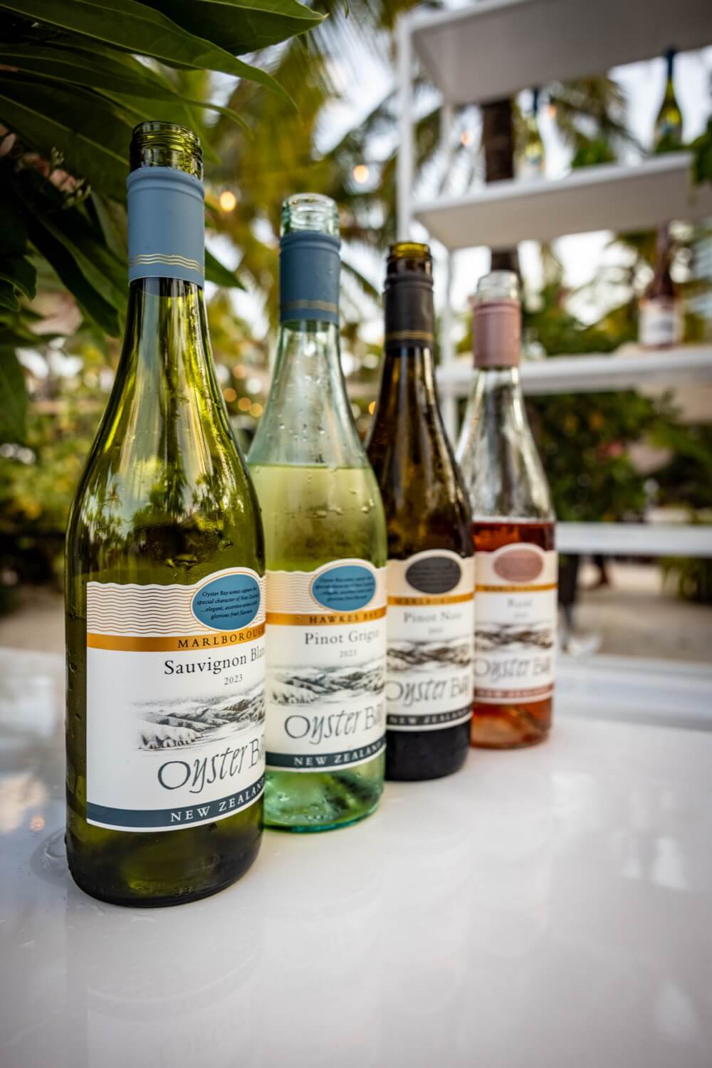 SGWS - SOBEWFF | February 20 - 23, 2025 in Miami, Florida